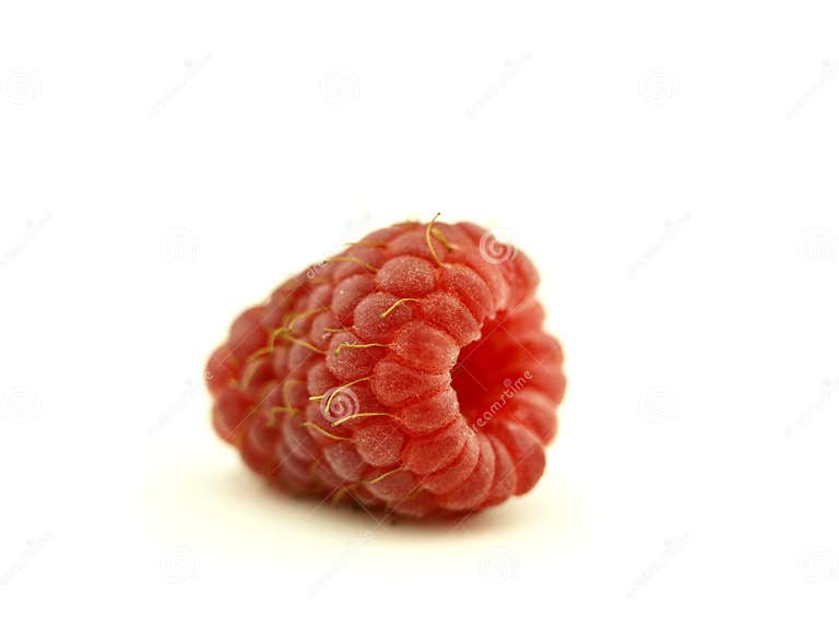 Raspberry in zoom stock image. Image of fruiting, forage - 6218127