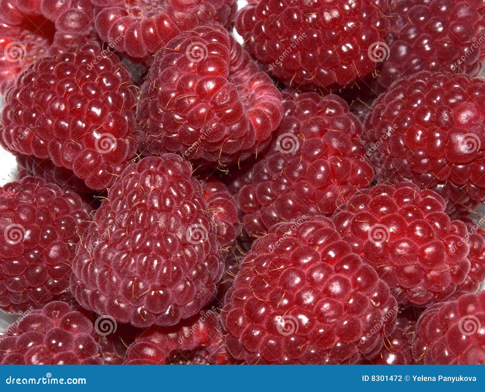 Raspberrys photo stock. Image du directement, groupe, lifestyle - 8301472