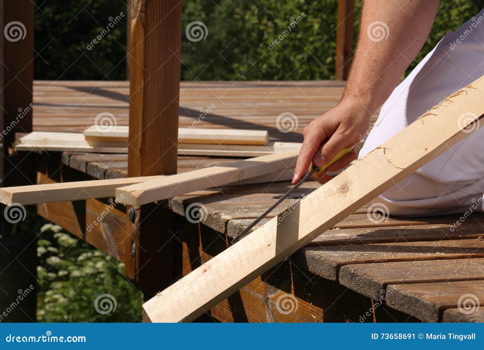 Rasping stock image. Image of carpentry, sawed, building - 73658691