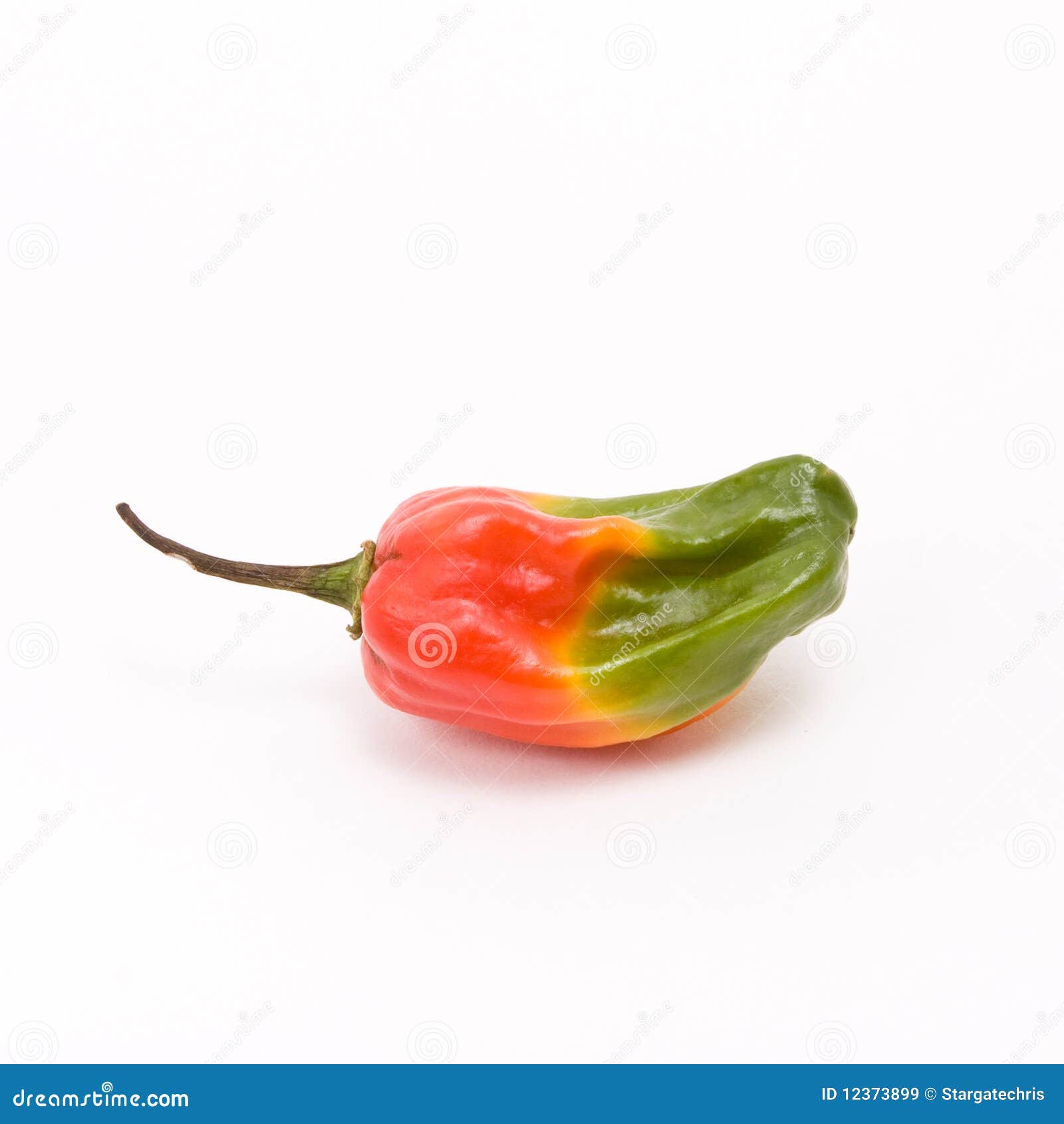 Rasta flag chilli stock image. Image of juicy, isolated - 12373899
