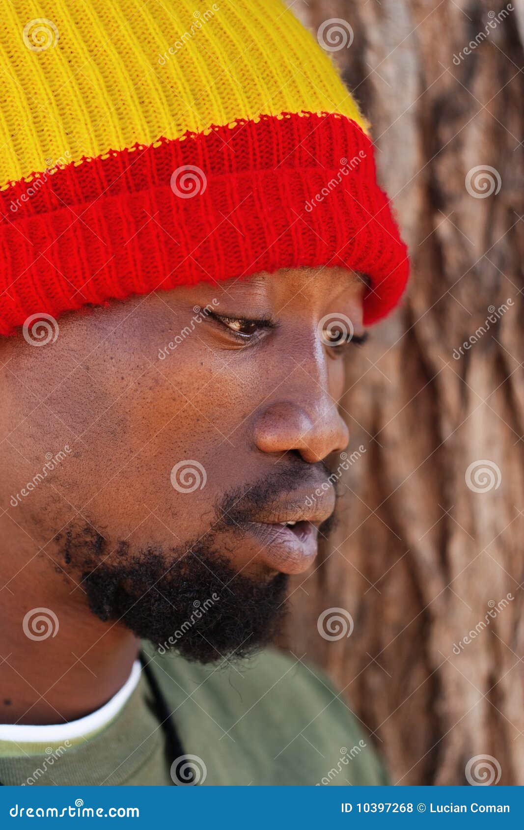Rastafarian man stock photo. Image of rastafarianism - 10397268