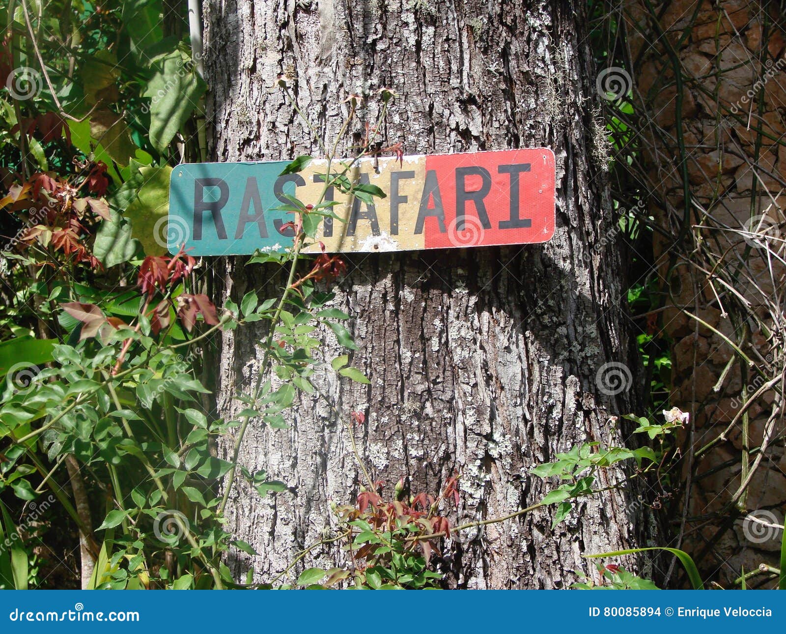 Rastafarian stock photo. Image of jamaican, rastafarian - 80085894