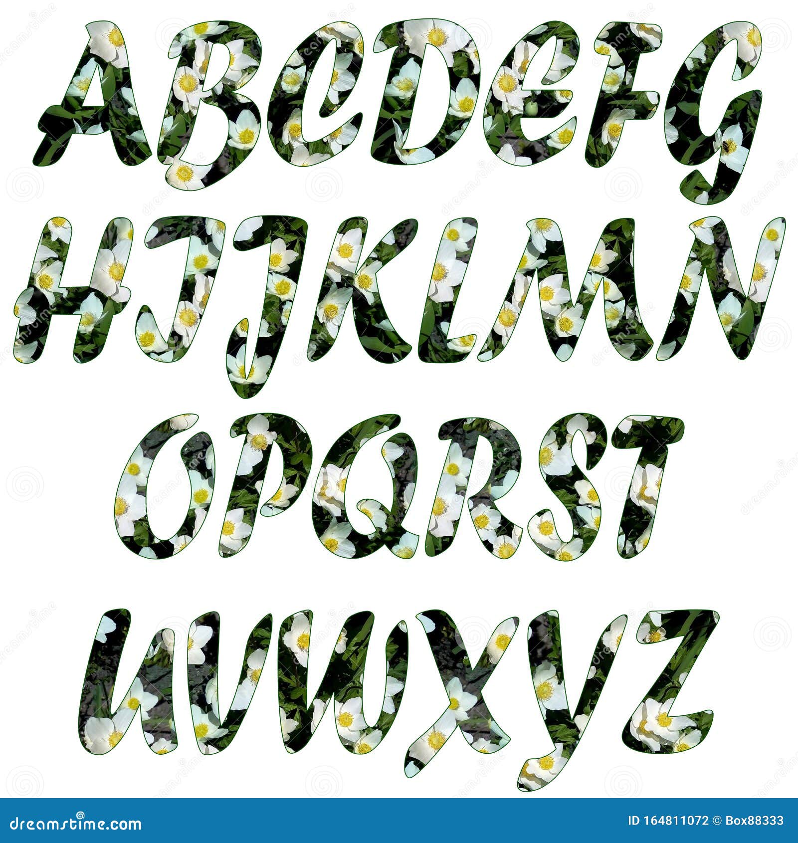 Raster Set Of Textured Letters Of The Latin Alphabet Natural Floral