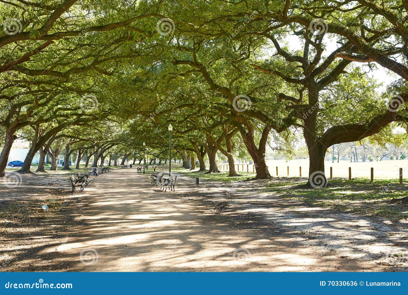 Rastro De Marvin Taylor Del Parque De Houston Hermann Foto de archivo ...