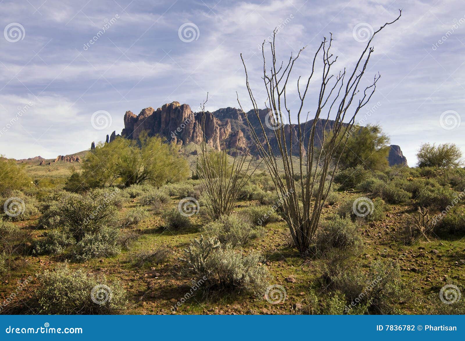 Rastro Del Desierto Del Yermo Foto de archivo - Imagen de celaje ...