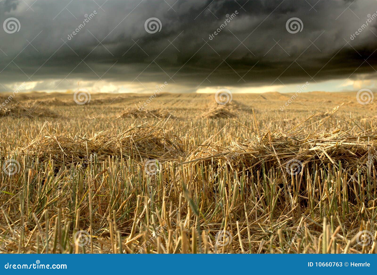 Rastrojo-campo de imagen de archivo. Imagen de nube, rastrojo - 10660763