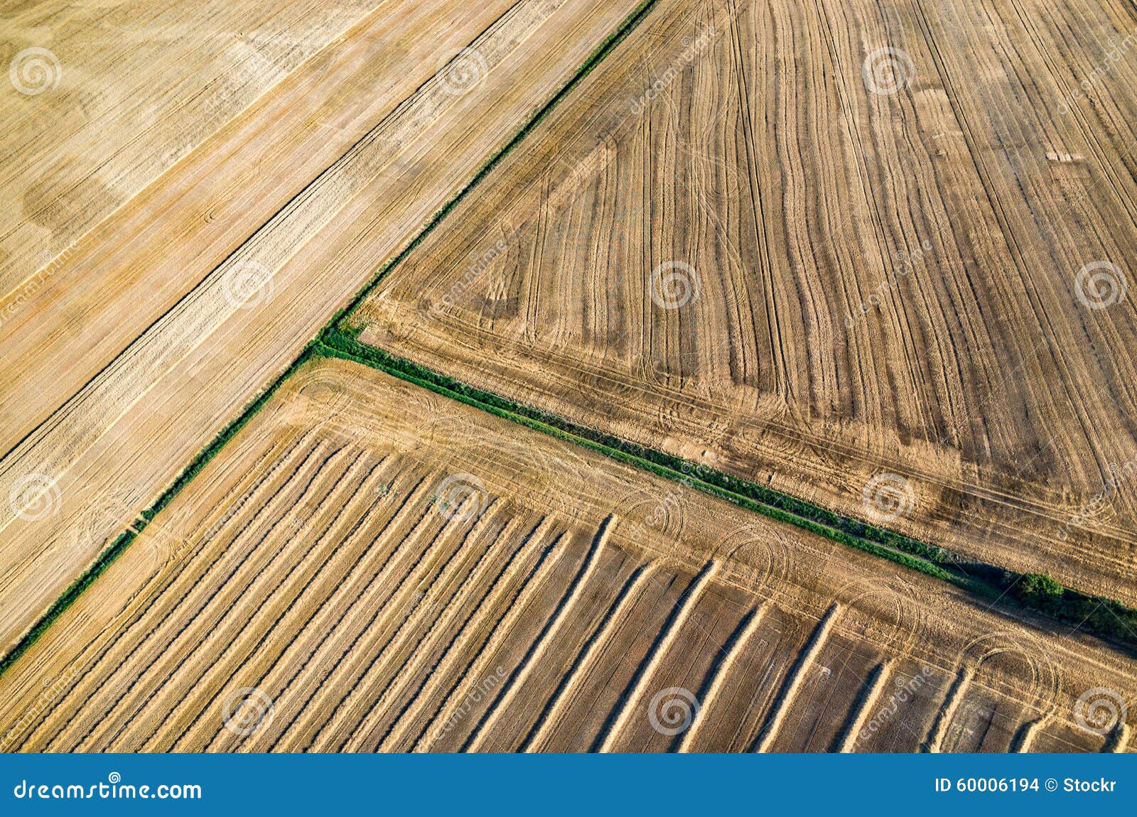 Rastrojo del trigo foto de archivo. Imagen de cosecha - 60006194