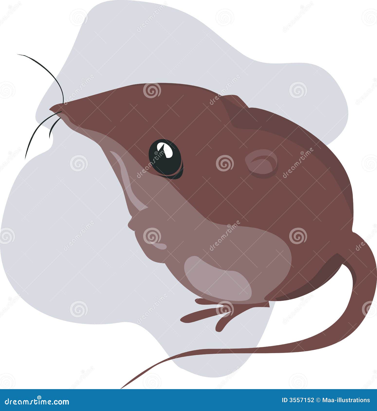 Rat stock vector. Illustration of pets, white, nose, thinking - 3557152