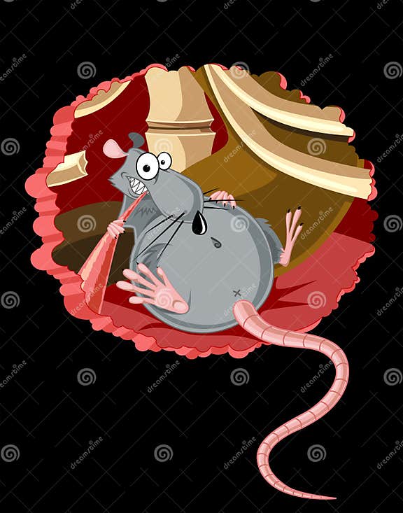 Rat stock vector. Illustration of cartoon, anatomy, rodent - 3905029