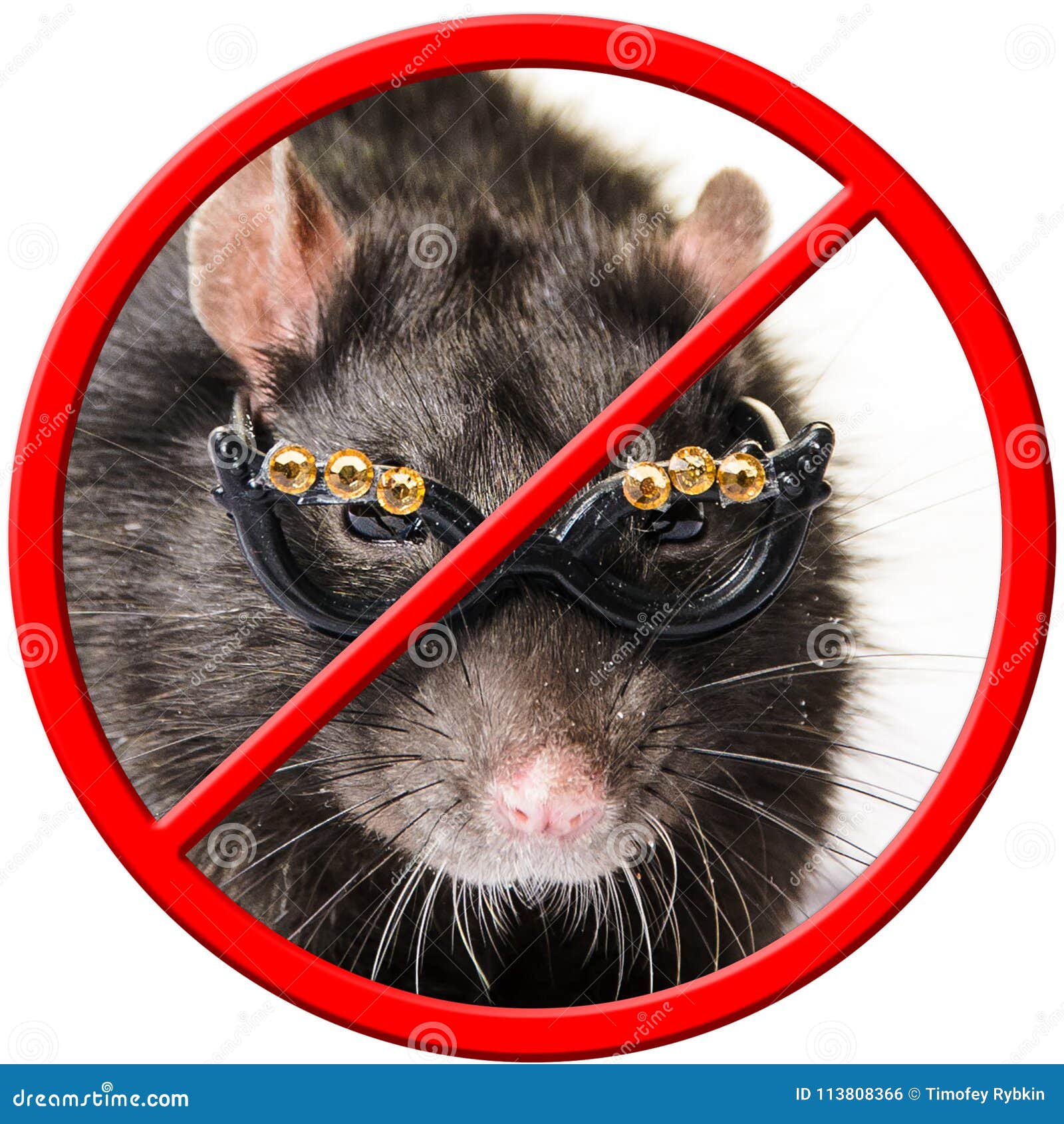 The Rat is Banned. Crossed Out with the NO Sign Stock Photo - Image of ...