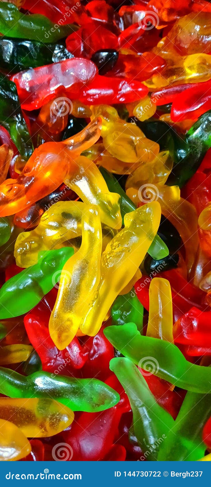 Rat candy colours stock photo. Image of fish, plant - 144730722