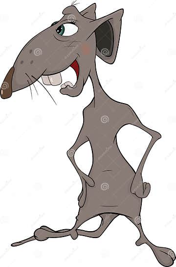 Rat. Cartoon stock vector. Illustration of cheerful, mammal - 23850427