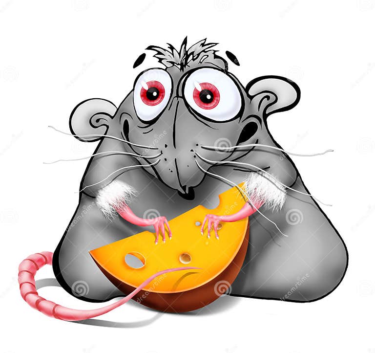 Rat with cheese stock illustration. Illustration of cartoon - 3752396