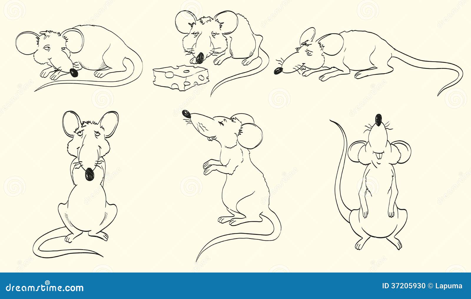 Rat and cheese stock vector. Illustration of doodle, unhygienic - 37205930