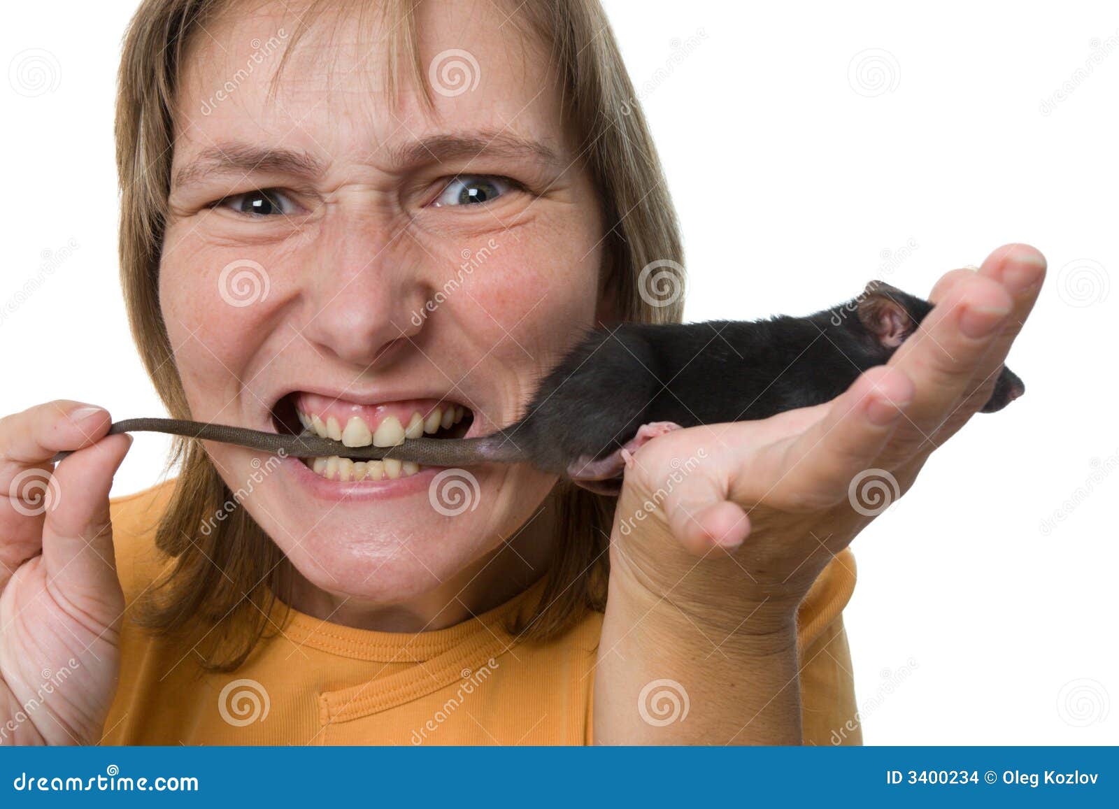 Rat control stock photo. Image of eyes, white, biting - 3400234
