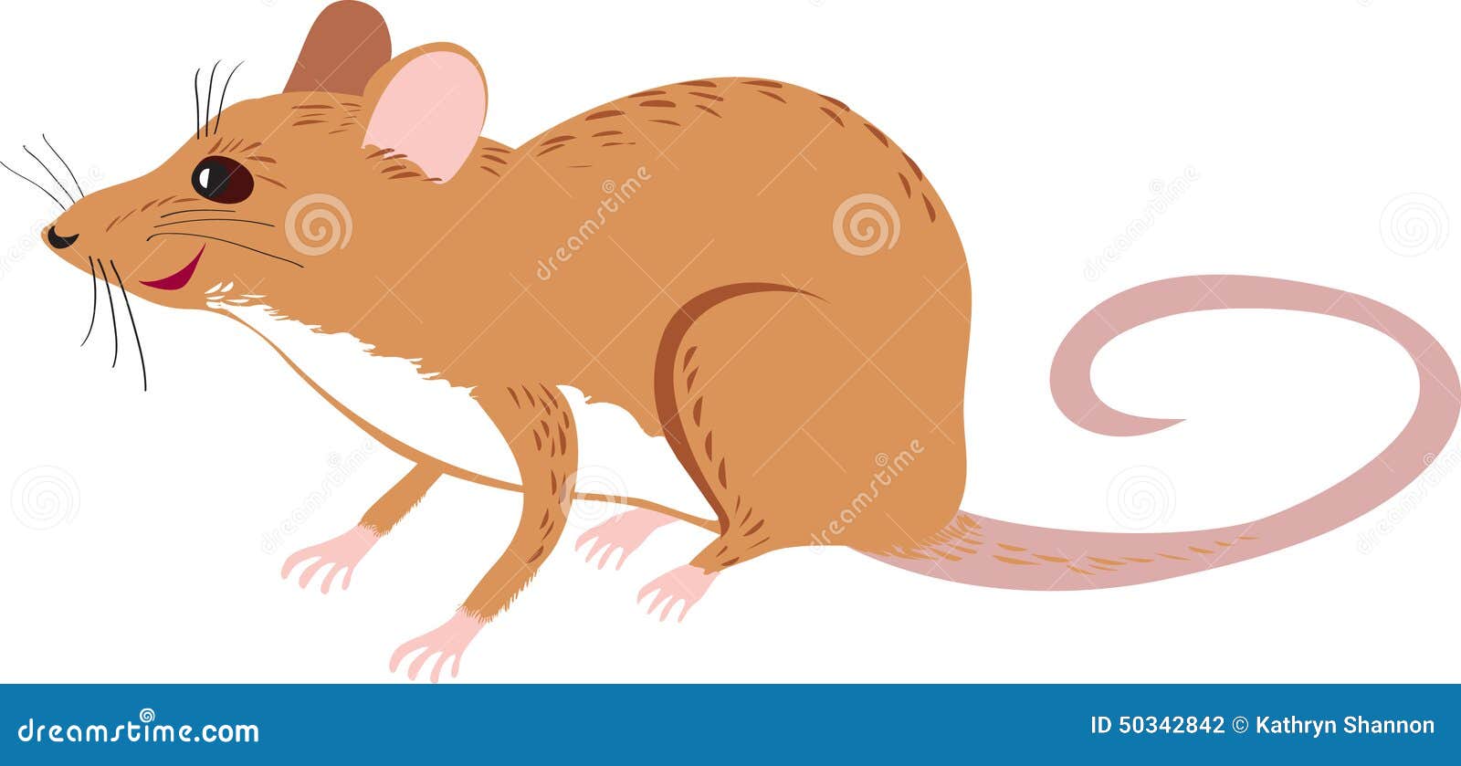 Brown Rat Clipart Images