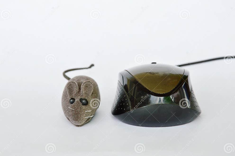 Rat Doll and Computer Mouse on White Background Stock Image - Image of ...