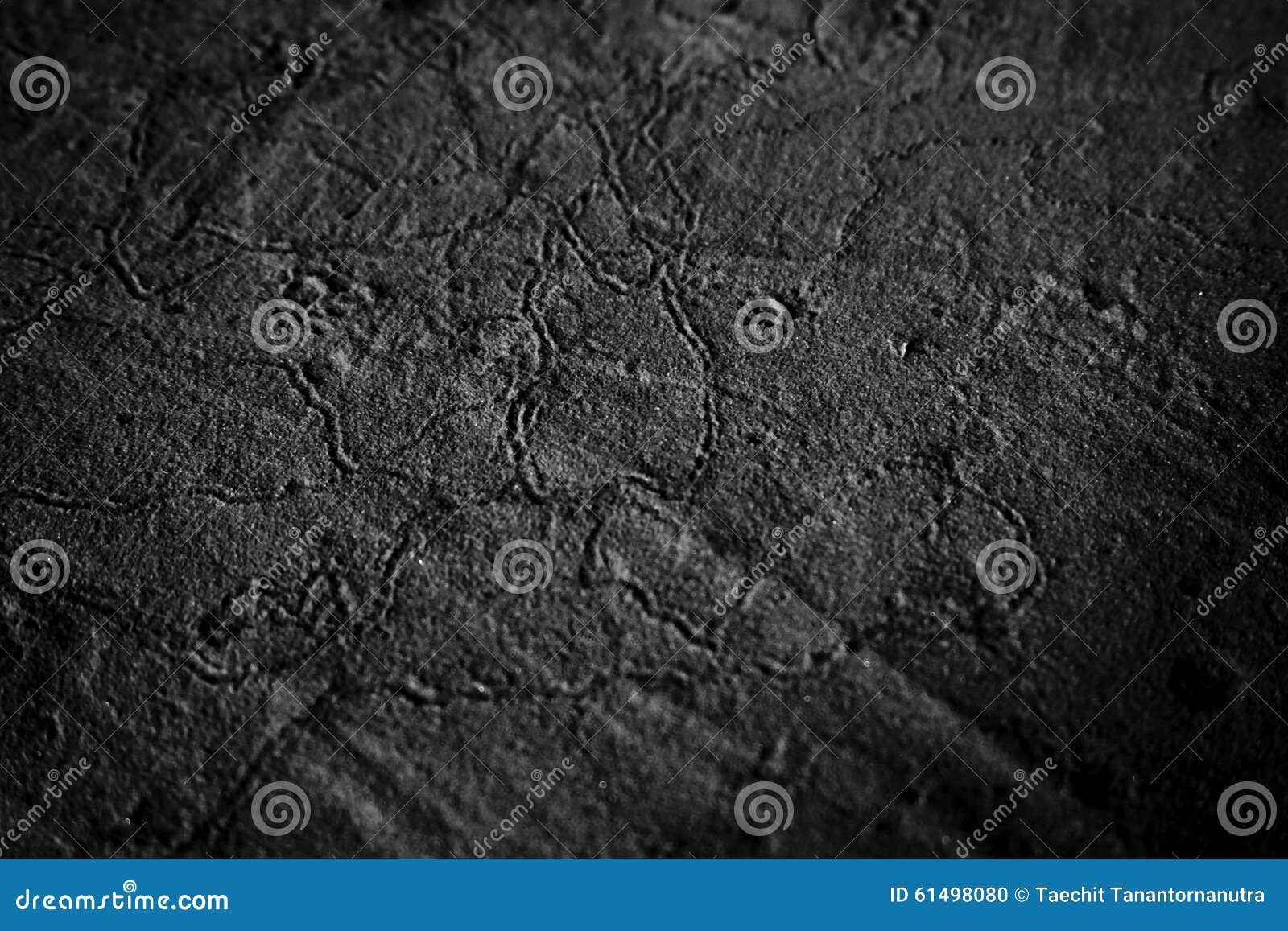 Dust Footprint On Wooden Pallet Royalty-Free Stock Photo ...