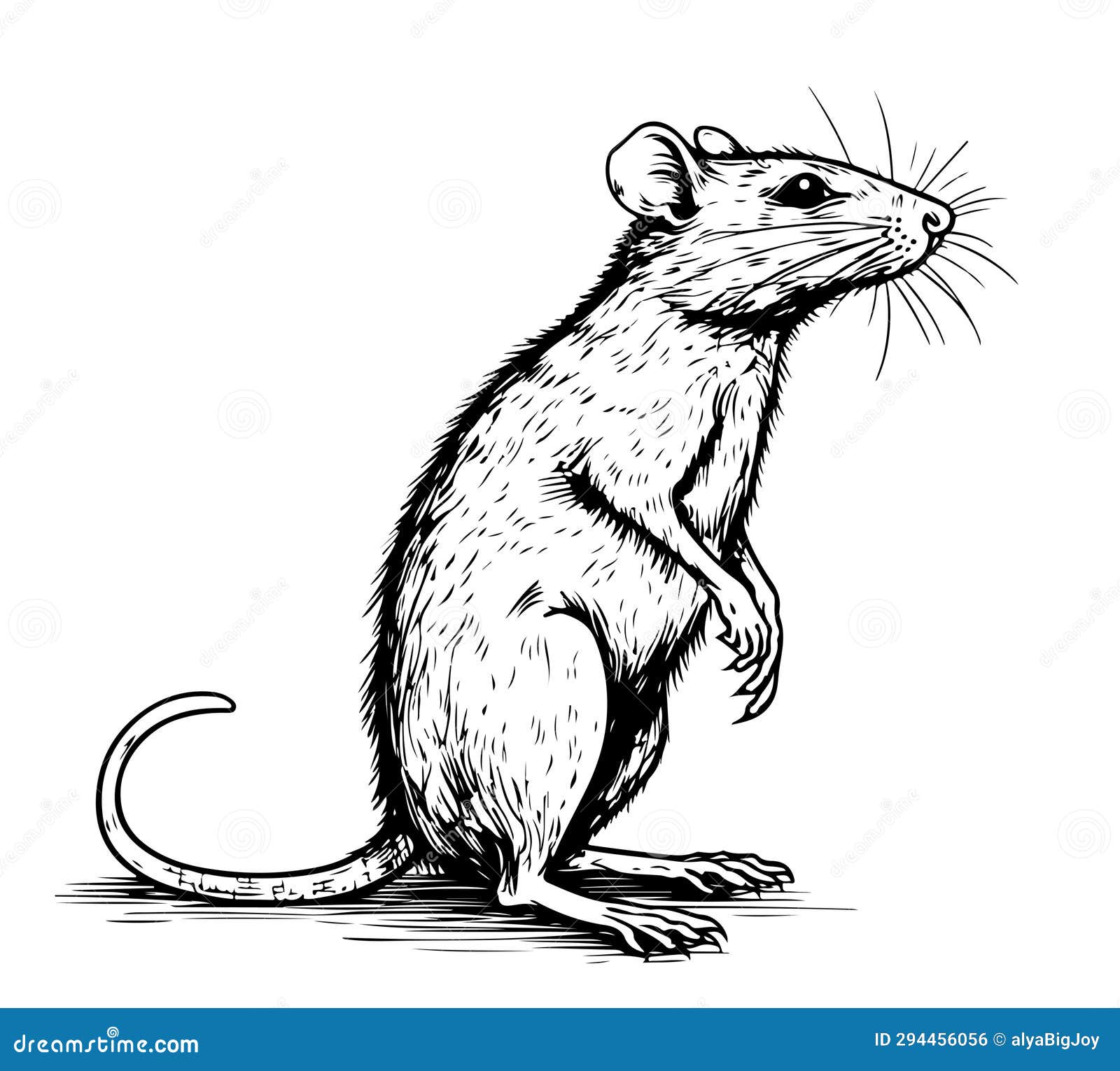 Rat Hand Drawn Sketch, Vector Illustration. Stock Illustration ...