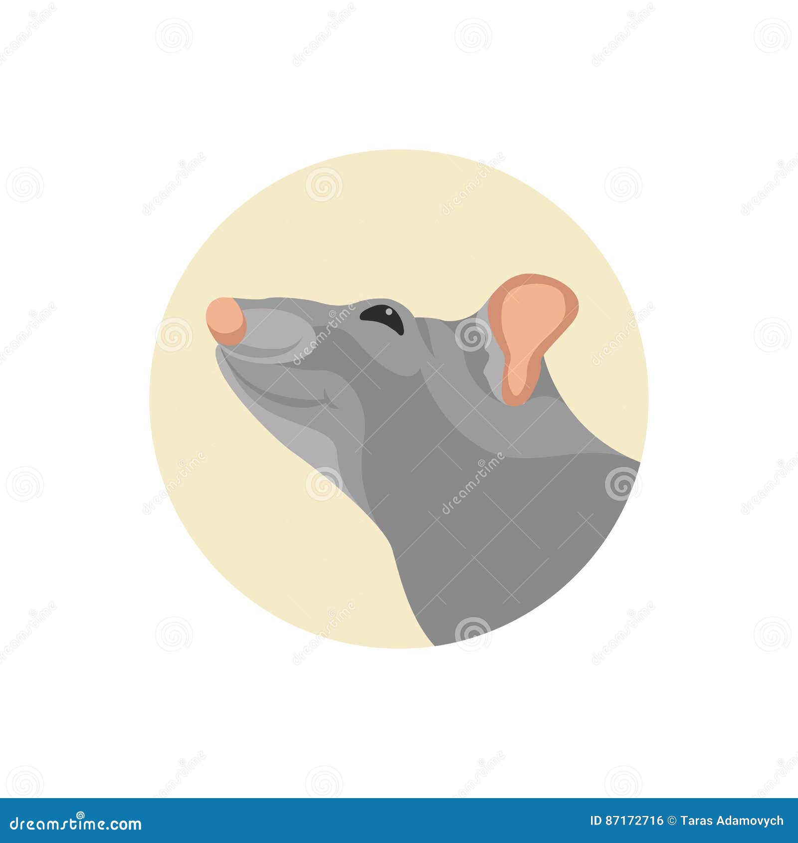 Rat Head Face Vector Illustration Flat Stock Vector - Illustration of ...