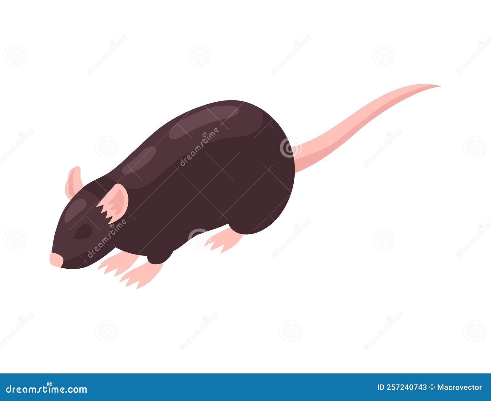 Rat Isometric Illustration stock vector. Illustration of icon - 257240743