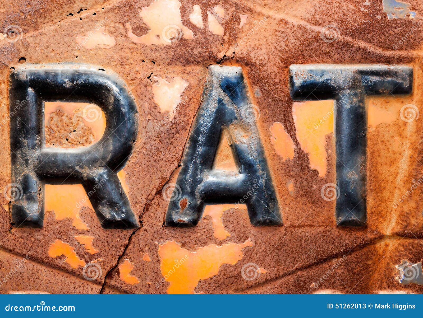 Rat in letters stock image. Image of education, alphabetic - 51262013