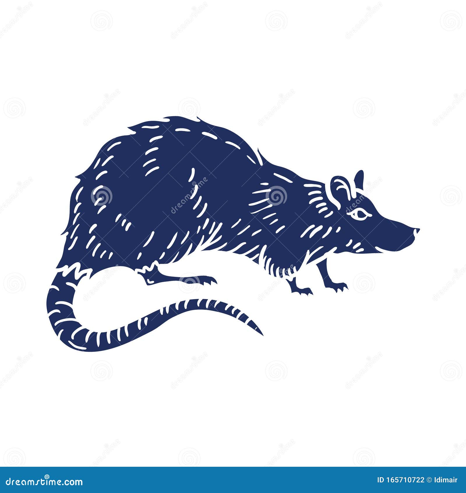 Rat or Mouse Hand Drawn on White Background. Vector Stock Vector ...