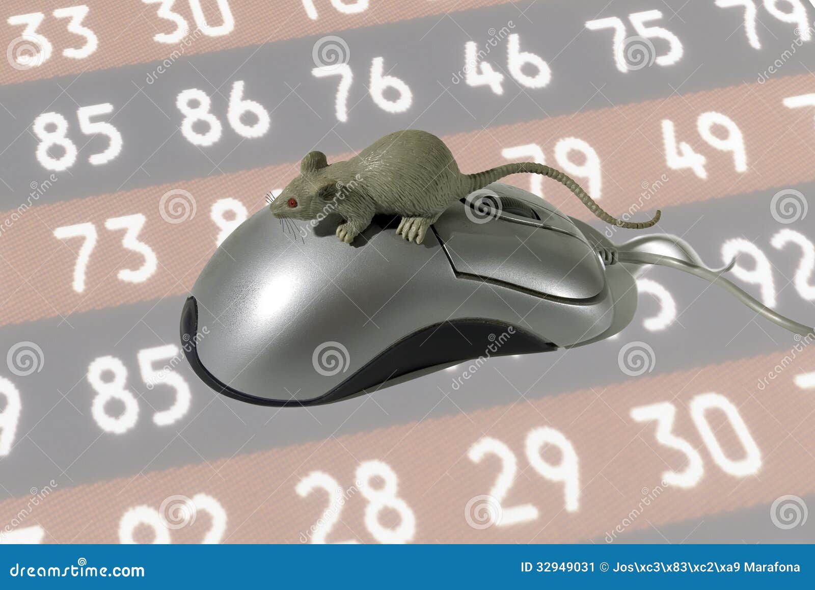 Rat stock image. Image of concept, wheel, stunning, hacker - 32949031