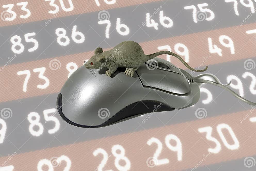 Rat stock image. Image of concept, wheel, stunning, hacker - 32949031