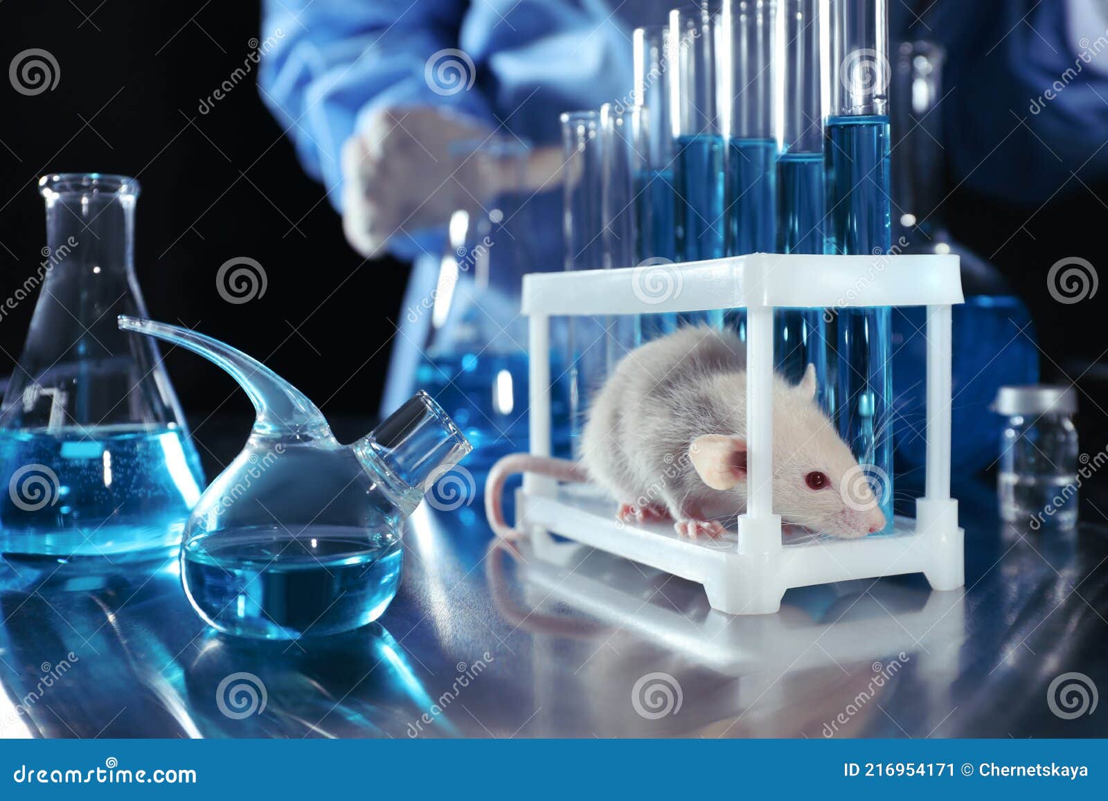 Rat Op Tafel in Chemisch Laboratorium. Dierproeven Stock Afbeelding ...