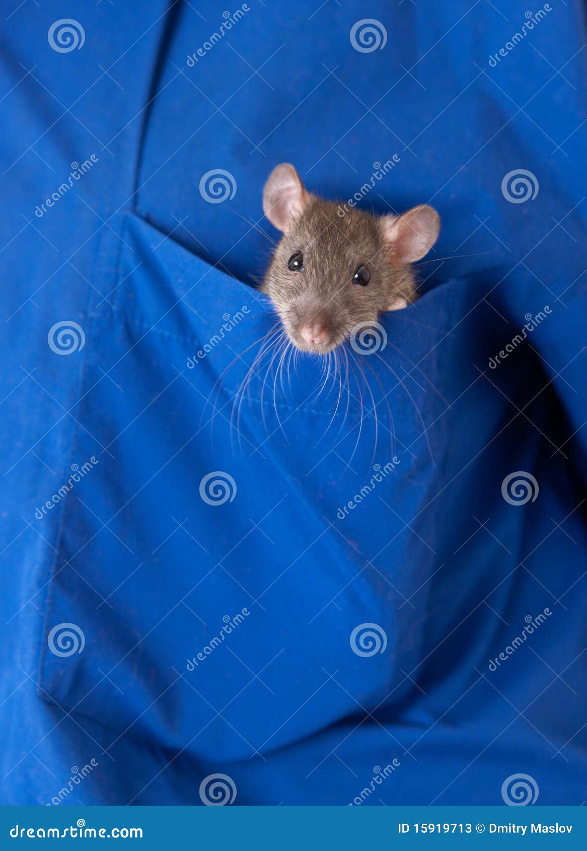 Why can't you match your pocket square to your tie? : r/malefashionadvice