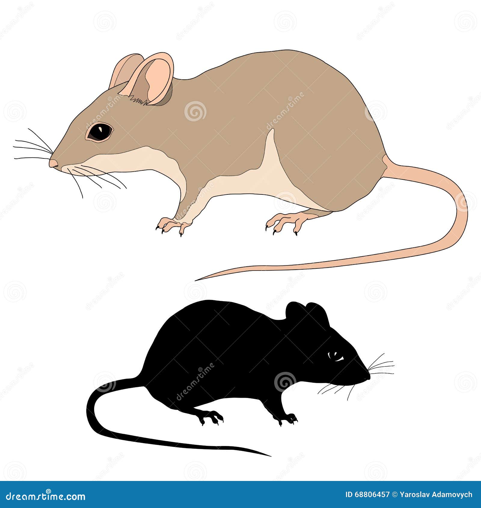 Rat Realistic Black Silhouette Stock Vector - Illustration of luck ...