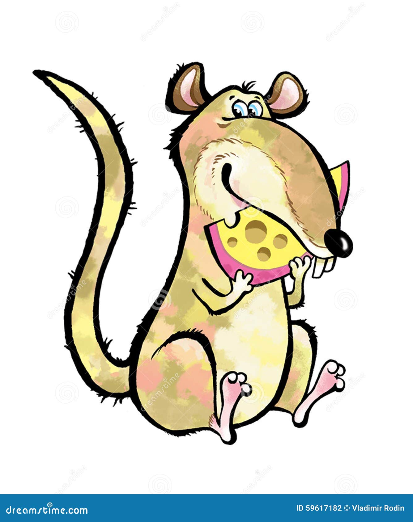Rat Rodent Cartoon Teeth Fun Stock Illustration - Illustration of wool ...