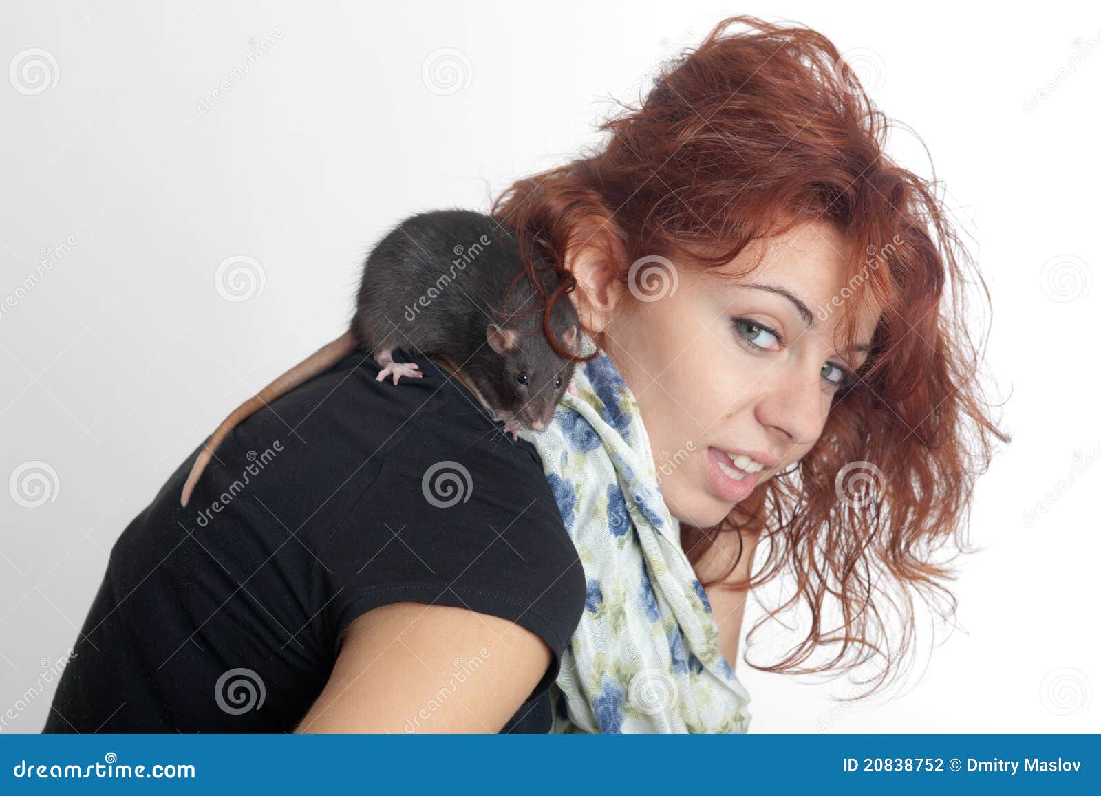 Rat on a shoulder stock photo. Image of pets, females - 20838752