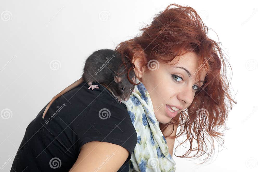 Rat on a shoulder stock photo. Image of pets, females - 20838752