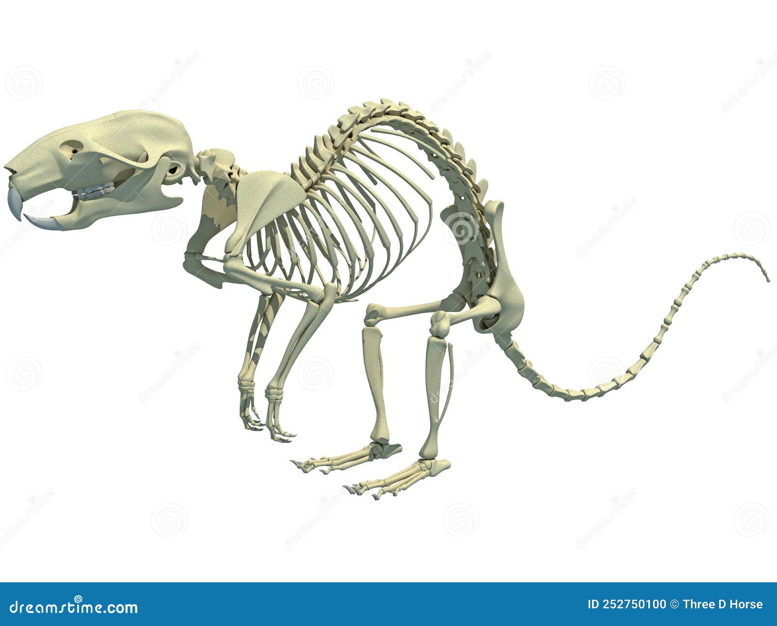 Rat Skeleton 3D rendering stock illustration. Illustration of skeleton ...