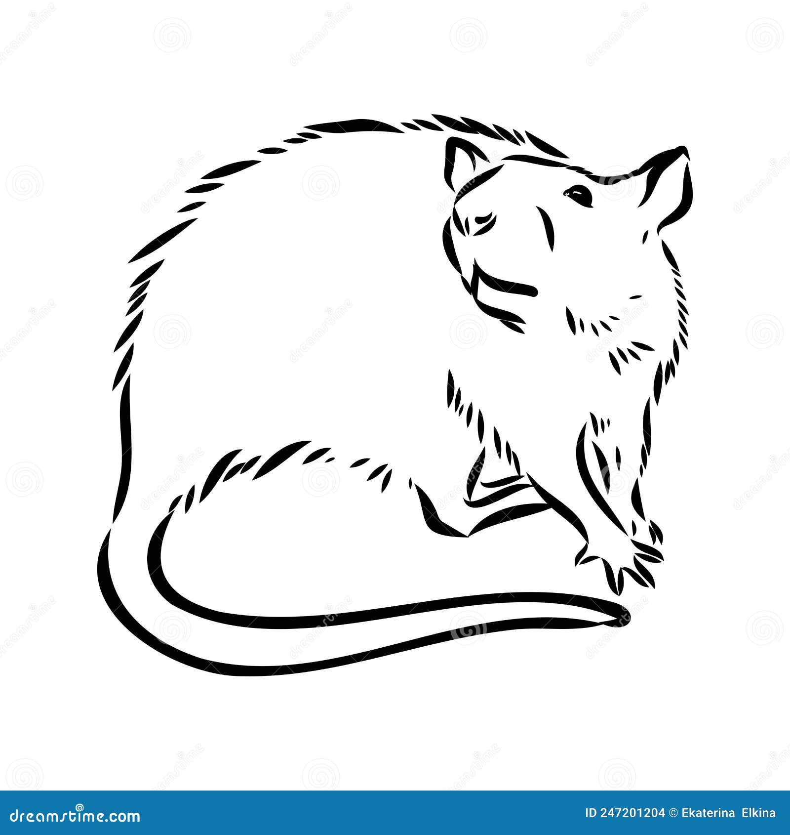 Rat Sketch Drawn by Hand. Black and White Vector Illustration Stock ...