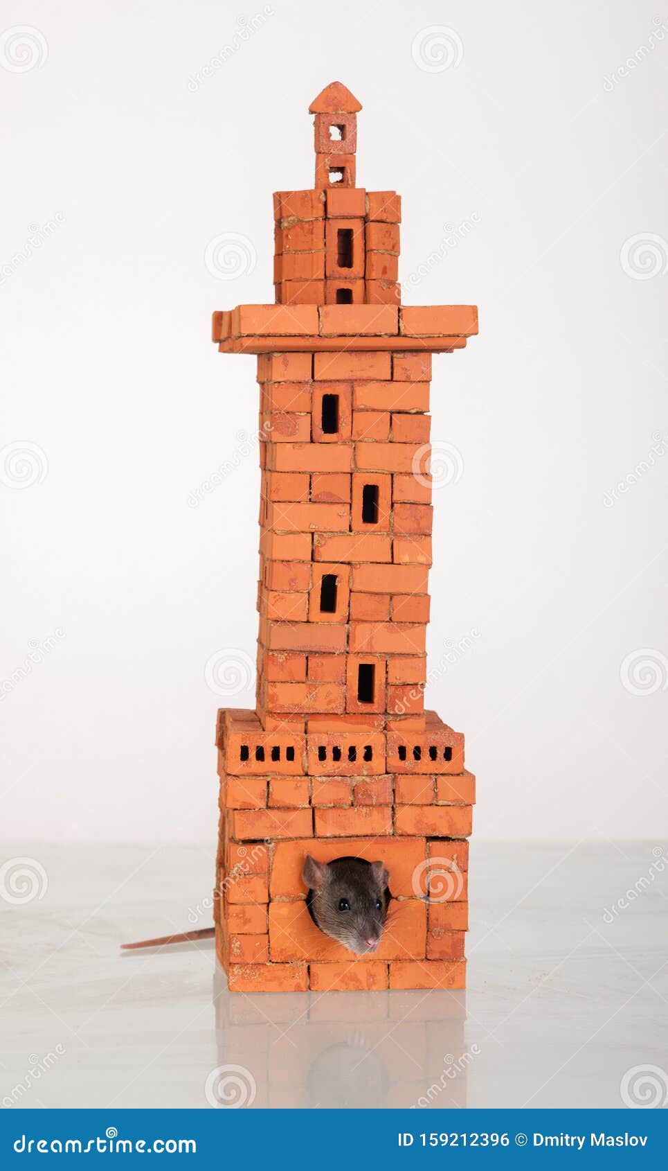 Rat in a small brick tower stock photo. Image of pets - 159212396