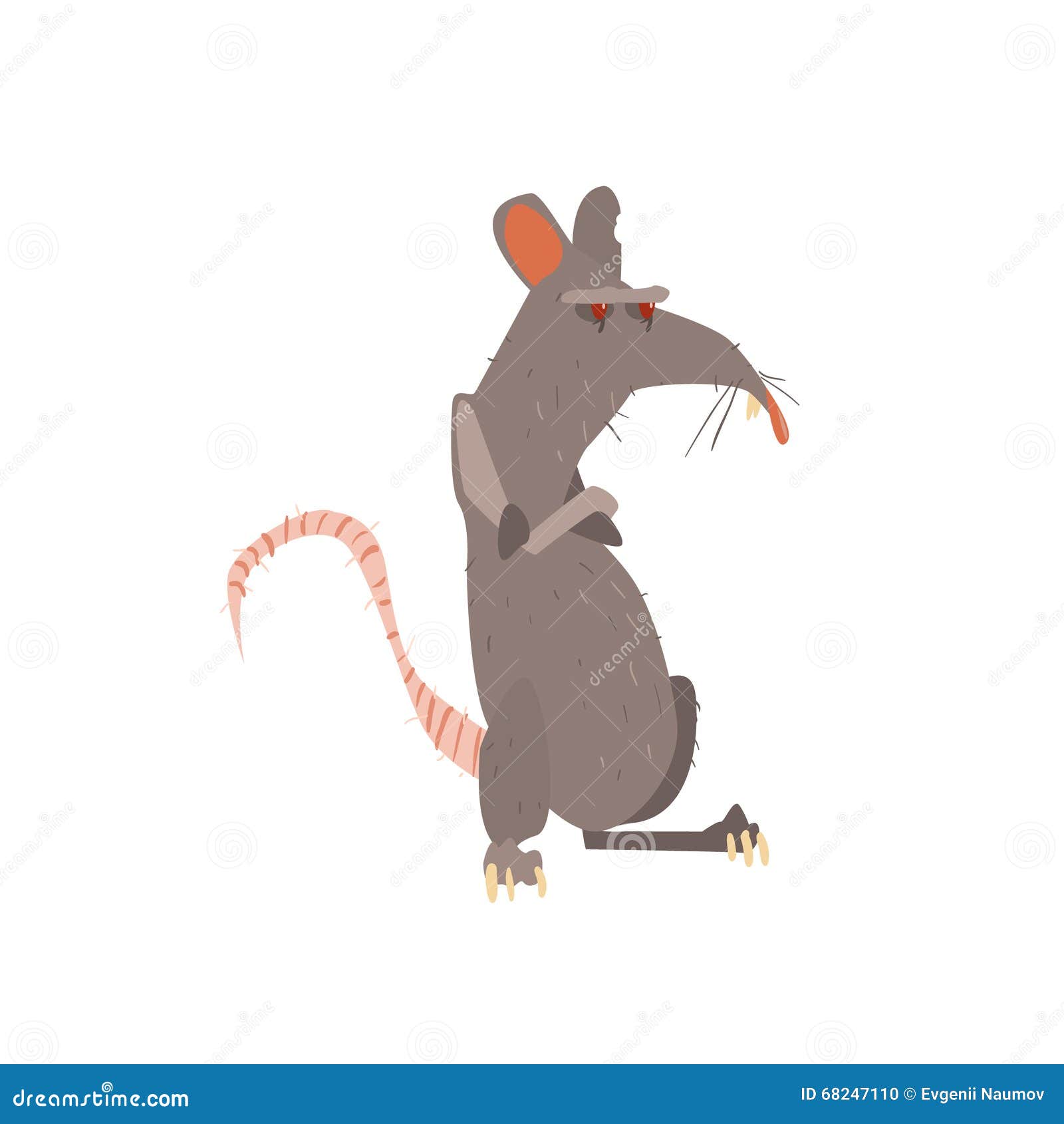 Rat Standing on Two Legs with Arms Crossed Flat Stock Vector ...