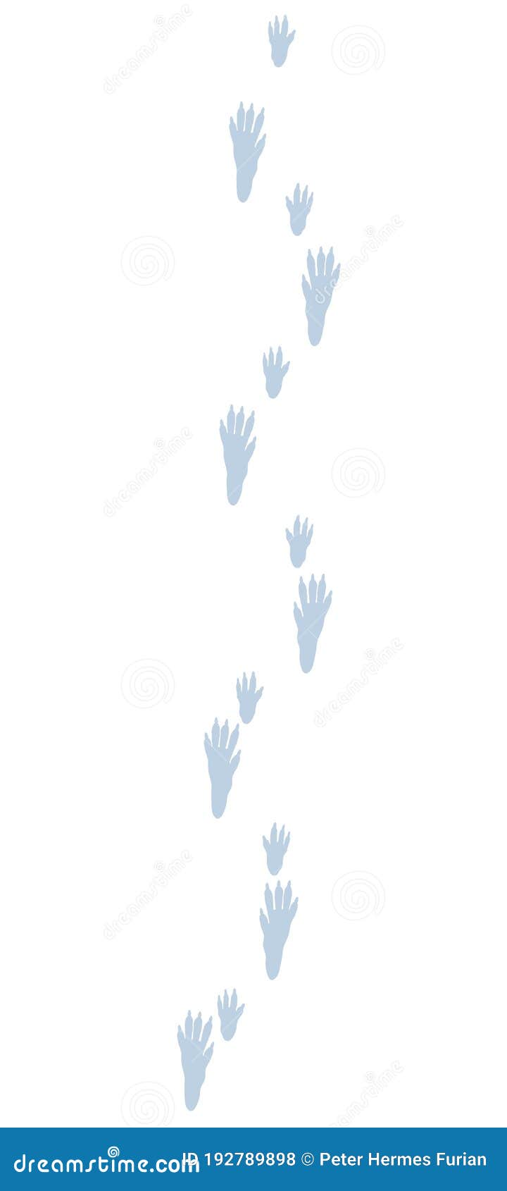 Rat Tracks House Rat Footprints Snow Vector Illustration ...