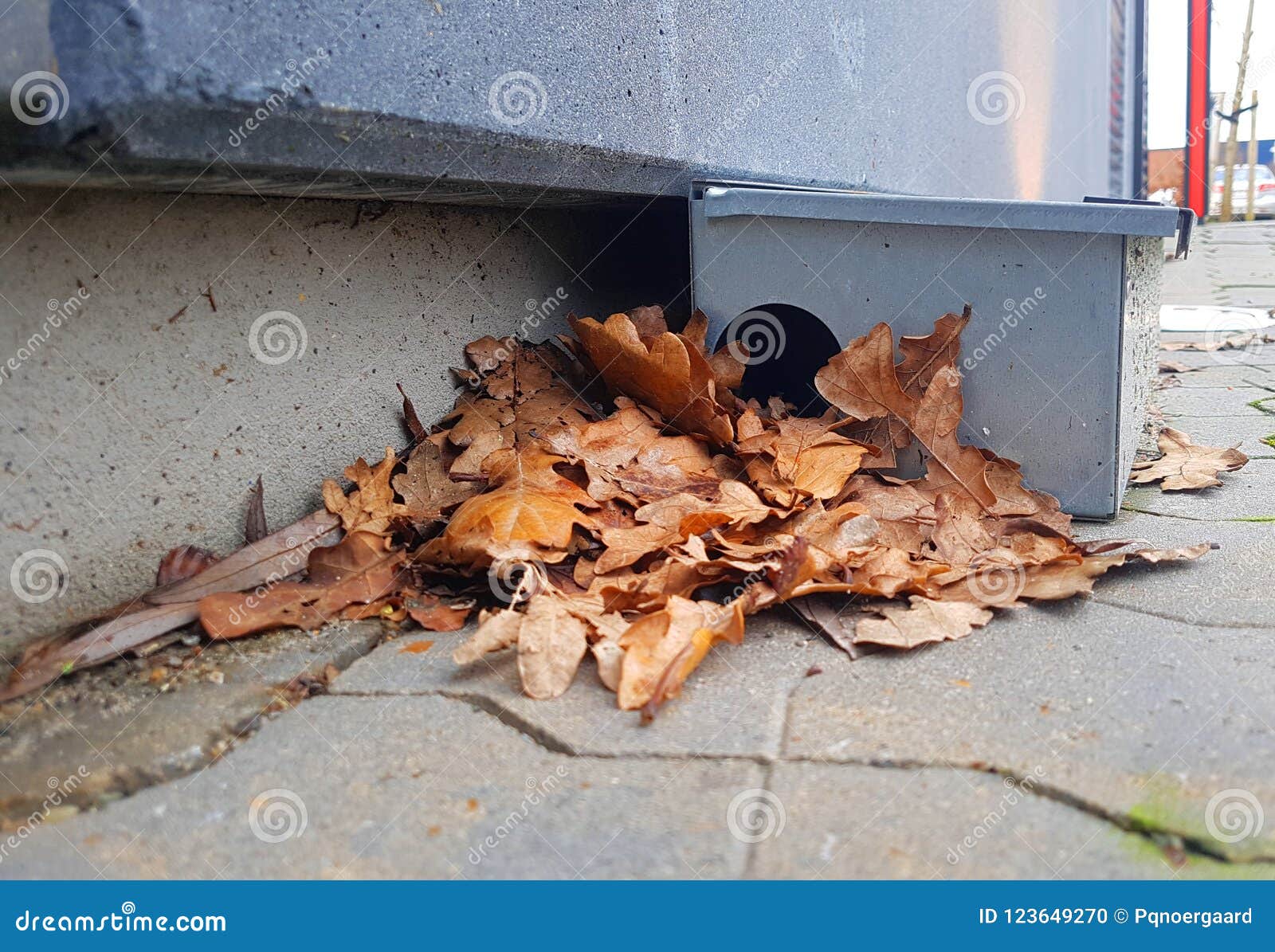 Poison Final Fight Trap