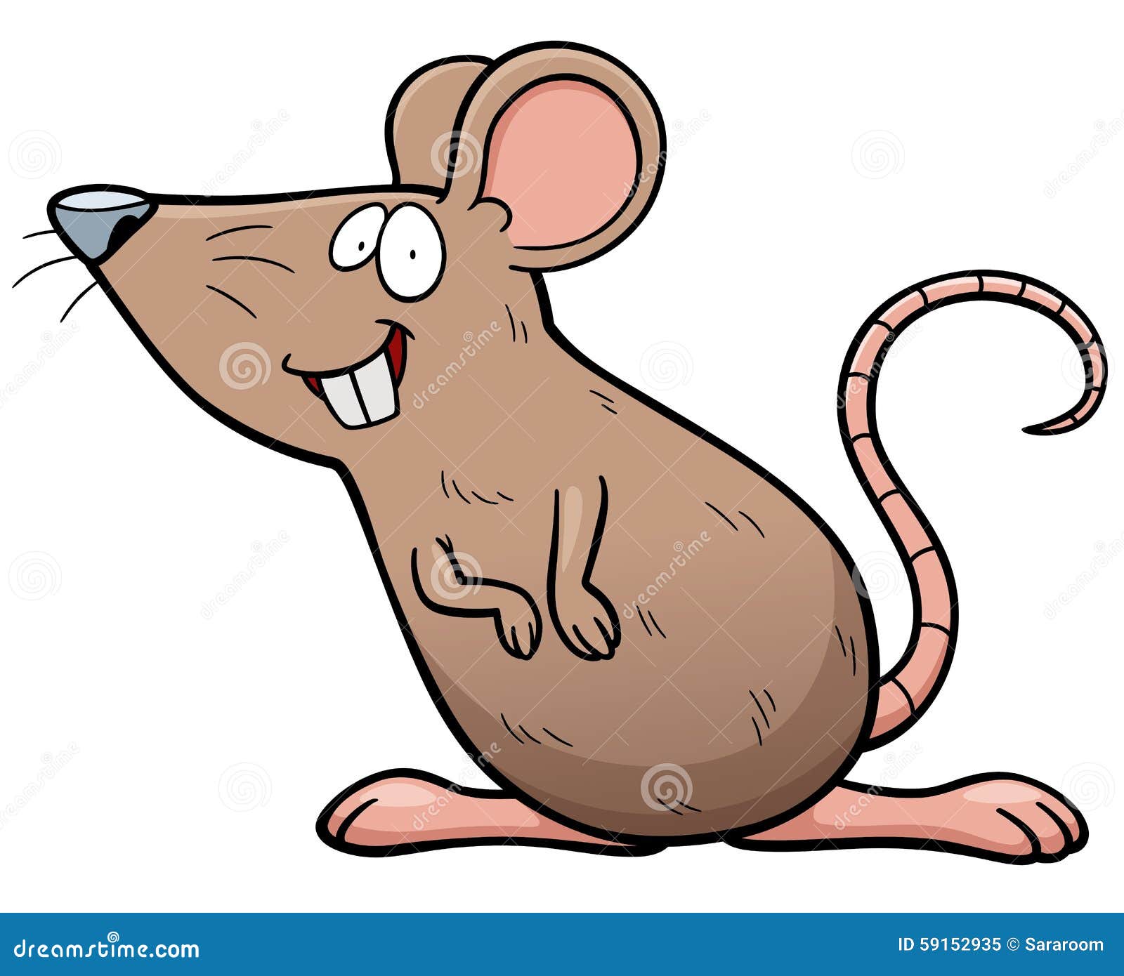 Rat stock vector. Illustration of rodent, friendly, beckon - 59152935