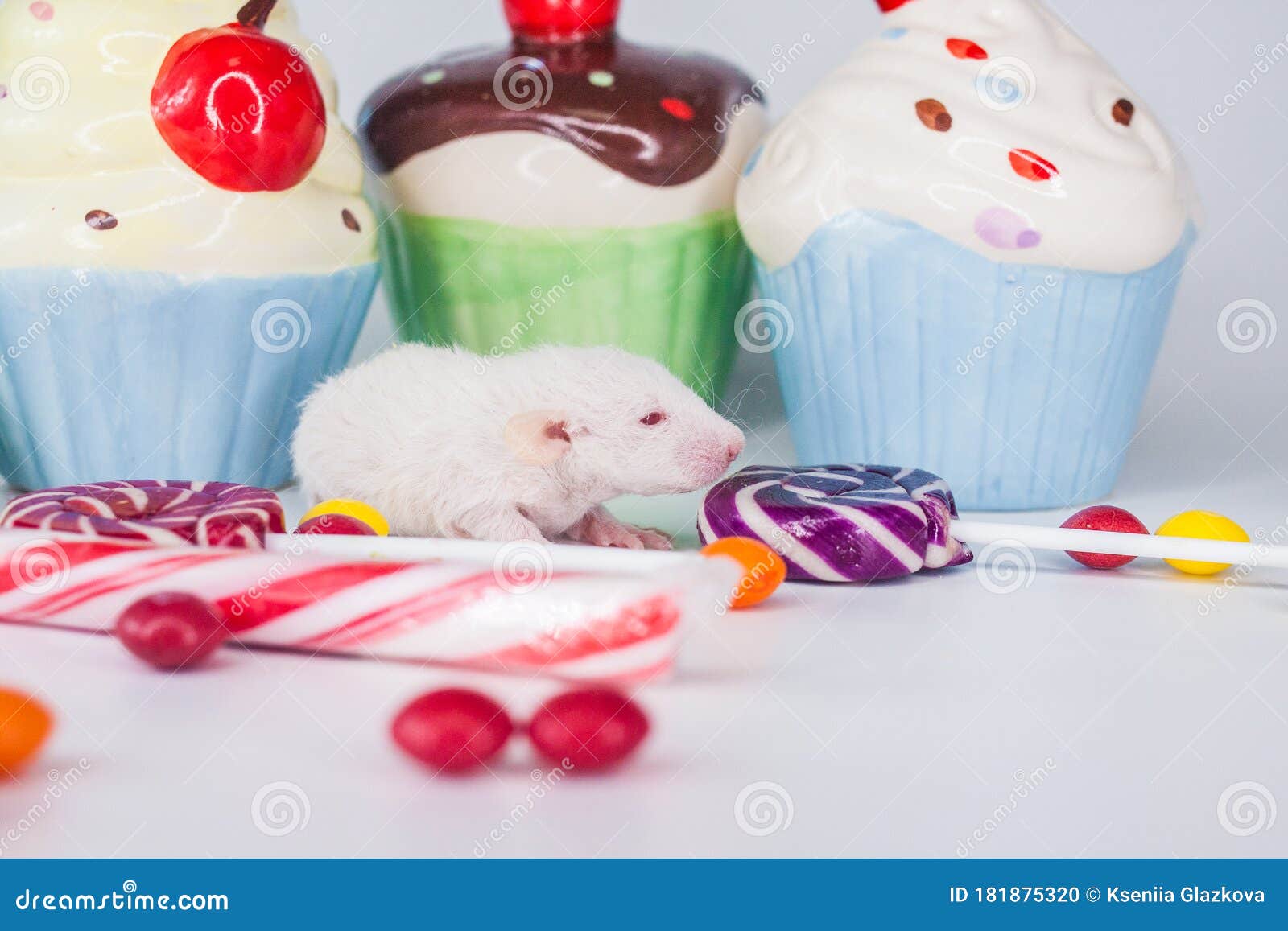 Rata con dulces. dulce foto de archivo. Imagen de calendario - 181875320