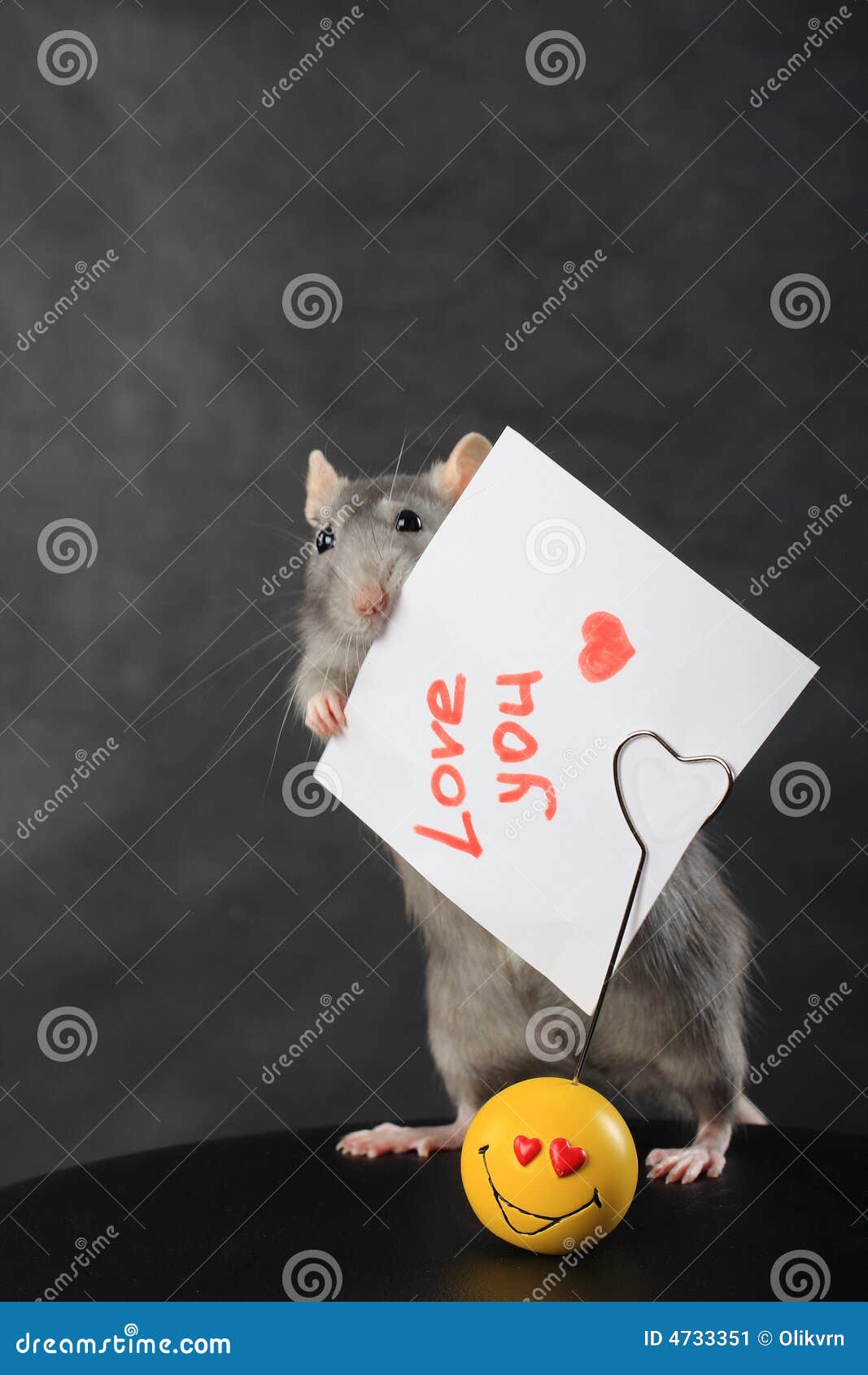 Rata Con Un Mensaje Del Amor Imagen de archivo - Imagen de sonrisa ...