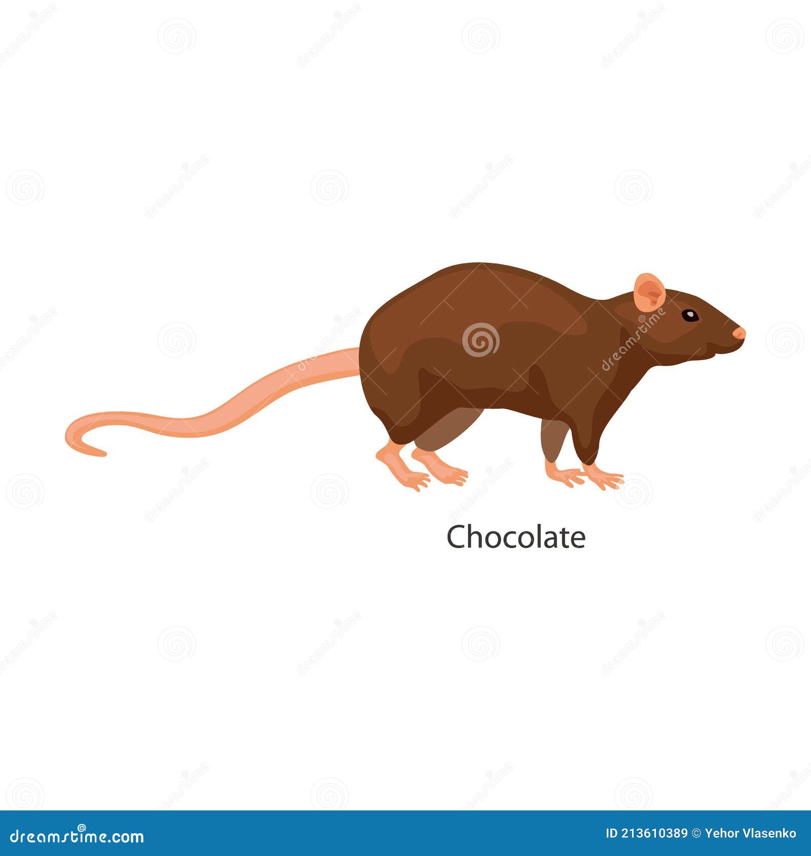 Rata Vector Icono Icono Vector Icono Aislado Sobre Fondo Blanco Rata ...