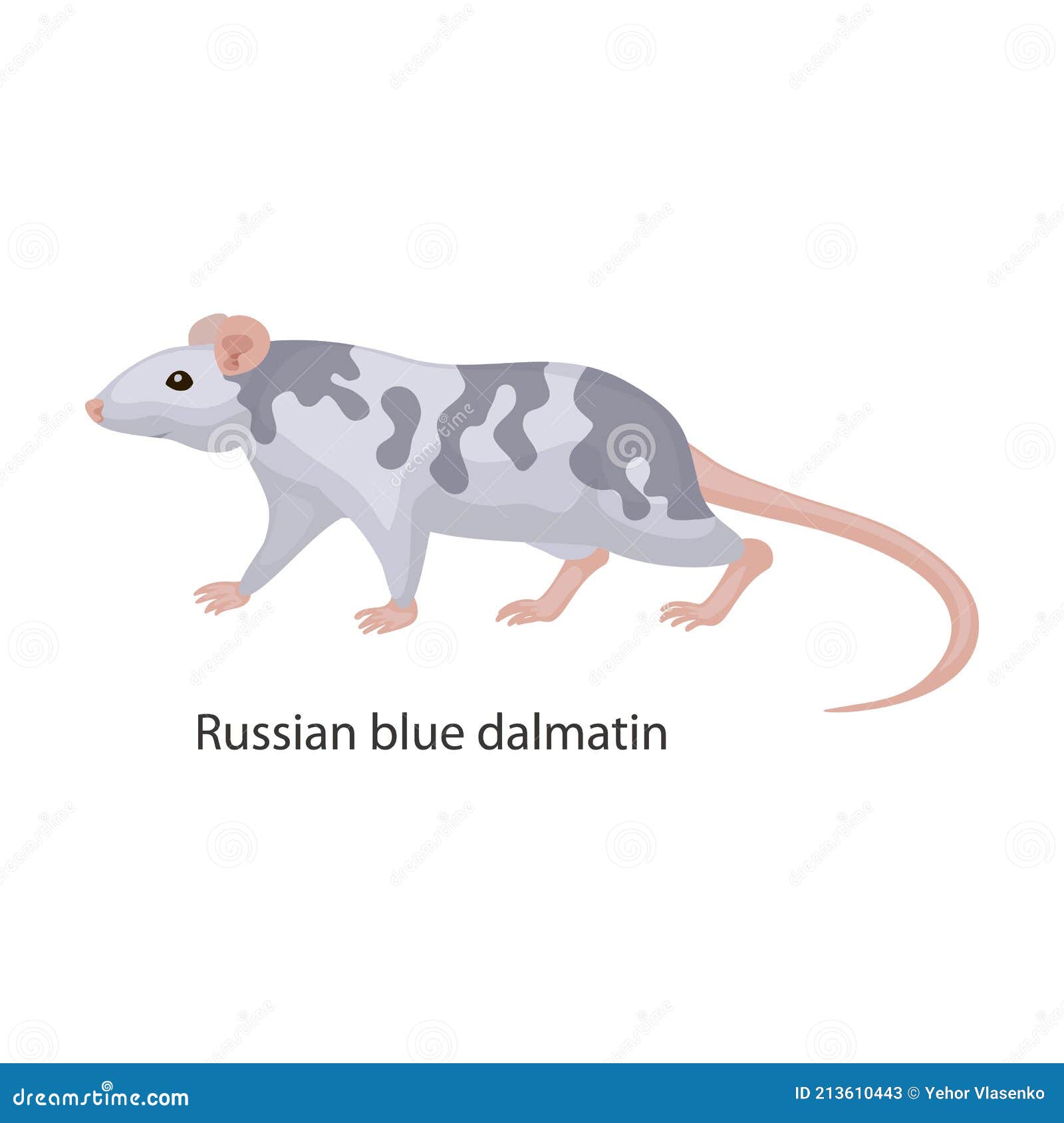 Rata Vector Icono Icono Vector Icono Aislado Sobre Fondo Blanco Rata ...