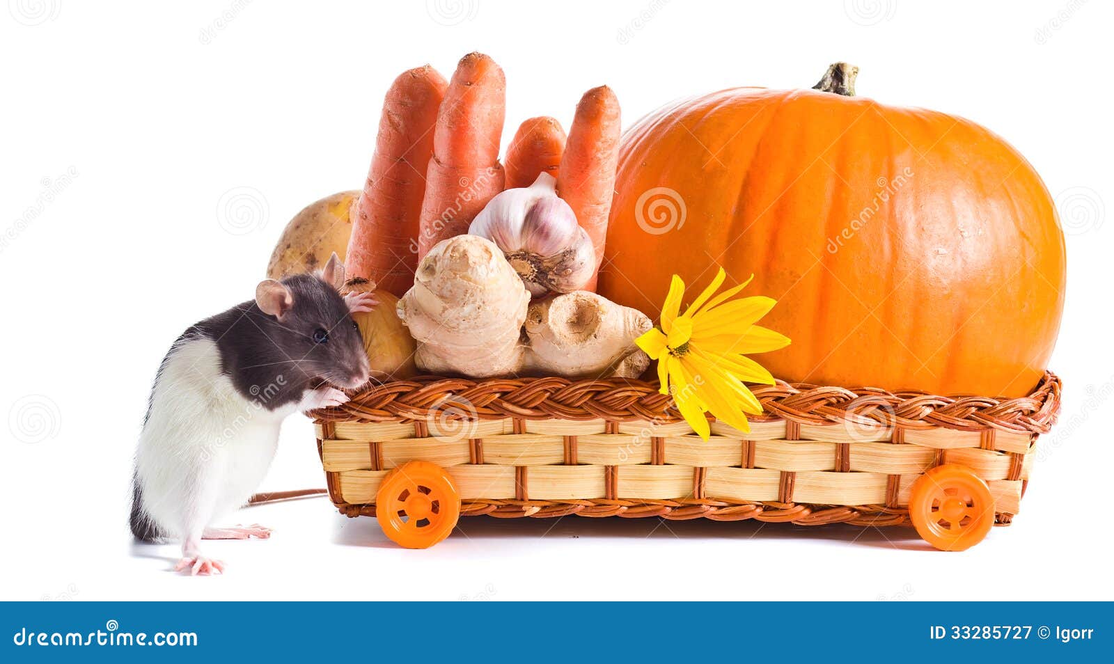 Rata y verduras imagen de archivo. Imagen de lindo, colorido - 33285727