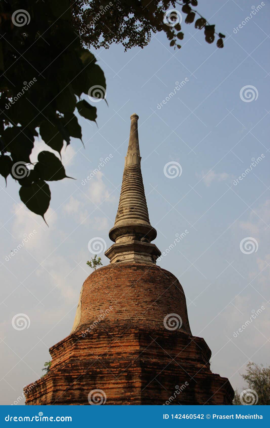 Old Pagoda with Bodhi Leaves Stock Photo - Image of blue, bodhi: 142460542