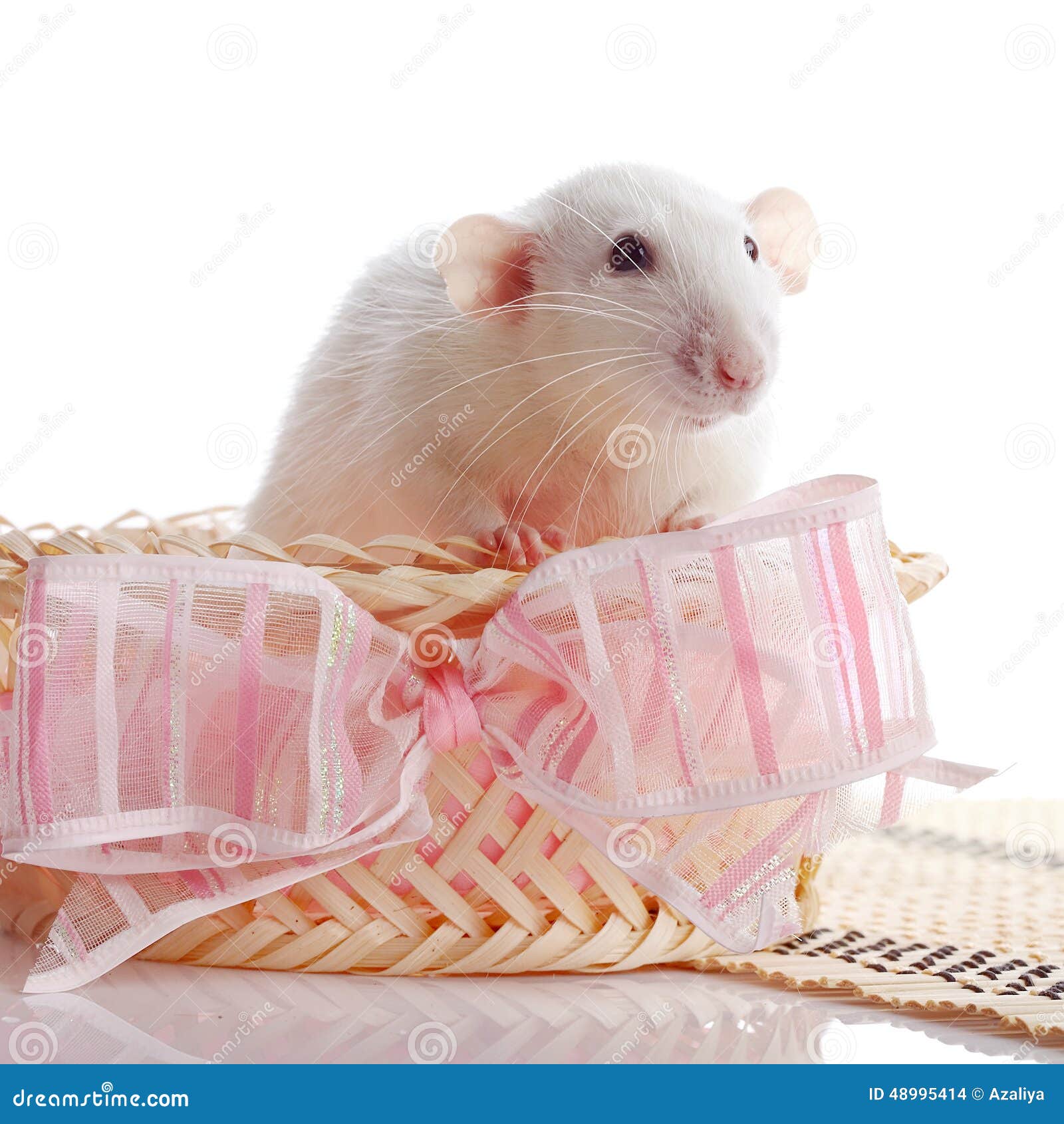 Rato Branco Em Uma Cesta Com Uma Curva Cor-de-rosa Foto de Stock ...