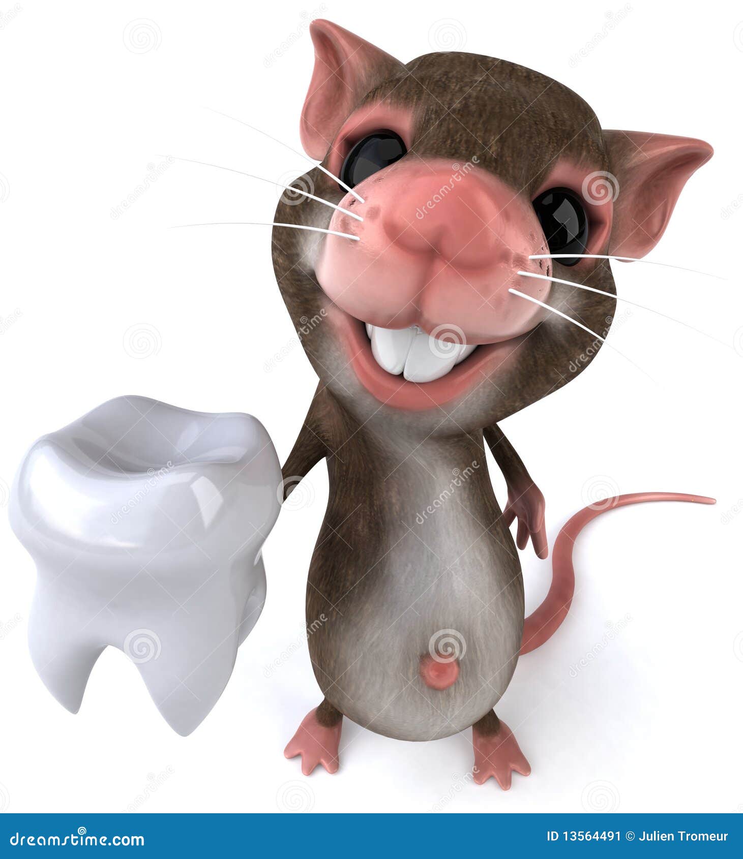 Rato com um dente ilustração stock. Ilustração de macio - 13564491